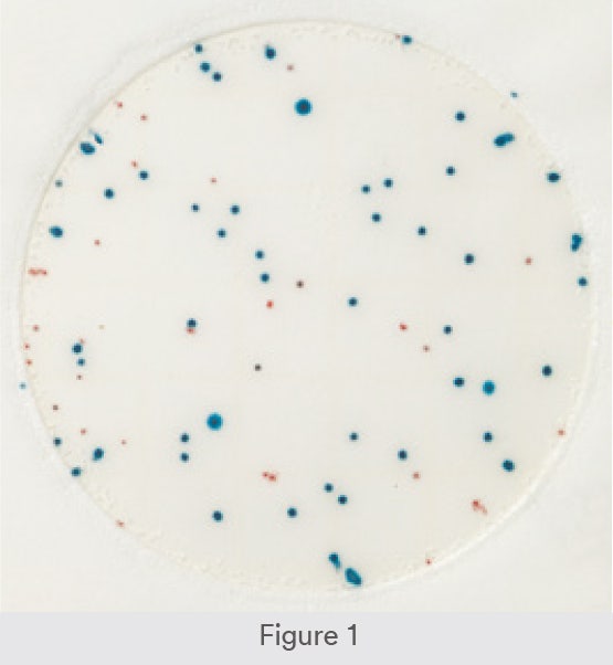 식품안전을 위한 3M™ Petrifilm™ NEOGEN® (네오젠)페트리필름 미생물 검사 방법 및 판독 완벽 가이드 일반세균부터 ...