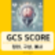 GCS 점수(Glasgow Coma Scale, GCS score)의 정의, 구성 및 예시 : 네이버 블로그