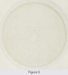 식품안전을 위한 3M™ Petrifilm™ NEOGEN® (네오젠)페트리필름 미생물 검사 방법 및 판독 완벽 가이드 일반세균부터 ...