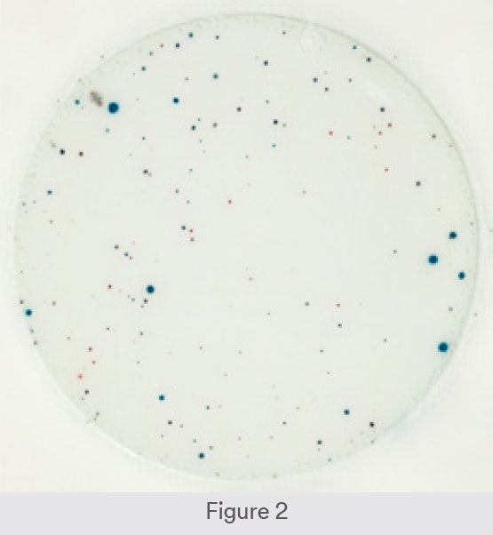식품안전을 위한 3M™ Petrifilm™ NEOGEN® (네오젠)페트리필름 미생물 검사 방법 및 판독 완벽 가이드 일반세균부터 ...