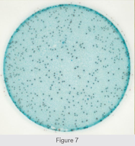 식품안전을 위한 3M™ Petrifilm™ NEOGEN® (네오젠)페트리필름 미생물 검사 방법 및 판독 완벽 가이드 일반세균부터 ...