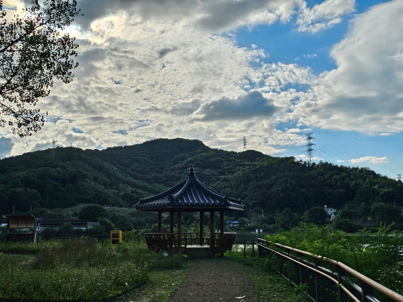 경기 안성 금광호수 하늘전망대 청록뜰 가볼만한곳 주차비 운영시간 네이버 블로그