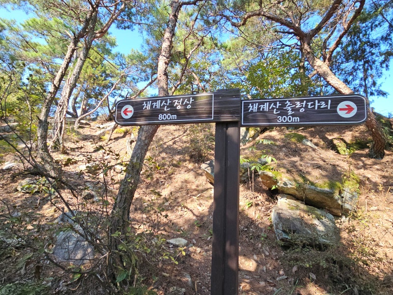 순창 채계산 출렁다리 등산 코스주차장~출렁다리~송대봉~원점회귀 네이버 블로그