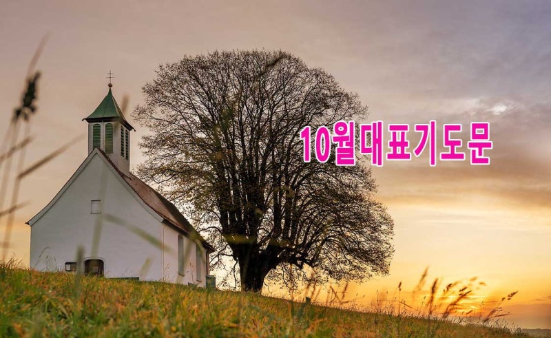 10월대표기도문 10월첫째주 주일대표기도문 2024년10월6일 네이버 블로그
