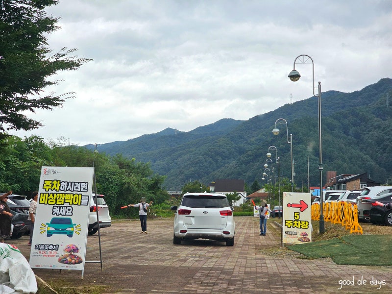 인제 가을 꽃축제 용대리 꽃길만걷자 부모님과 방문 개화현황 주차 : 네이버 블로그