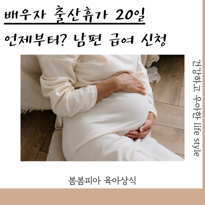 배우자 출산휴가 20일 시행 기간 언제부터 남편 급여신청방법 네이버 블로그