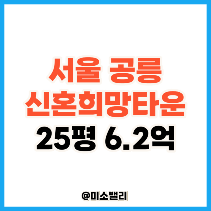 서울 공릉 신혼희망타운 공공분양 청약 정보 네이버 블로그