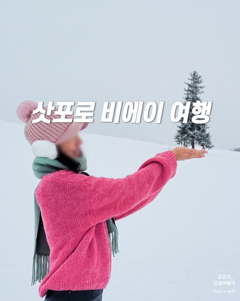 삿포로 비에이 버스투어 추천 준페이 흰수염폭포 닝구르테라스 크리스마스트리 후기 네이버 블로그