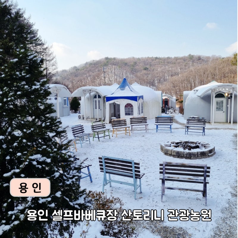 용인 셀프바베큐장 외부음식 반입가능한 용인 산토리니 관광농원 네이버 블로그