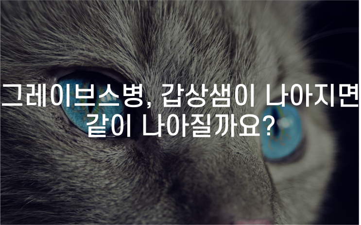 대구 범어동 야간진료 한의원 한의학 이야기 비만과 수면의 관계 비만침 무료 체험단 모집 이벤트 추석 경옥고 공진단 할인 행사