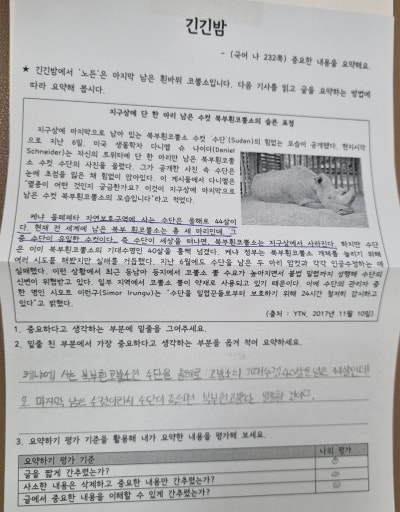 5학년 온책읽기 수업 보기 긴긴밤 루리 무료 독후활동지 네이버 블로그