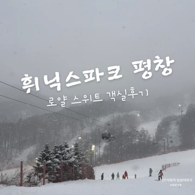 휘닉스파크 평창 로얄스위트 50평형 객실 컨디션 및 후기 6인실 유로빌라 C동 네이버 블로그