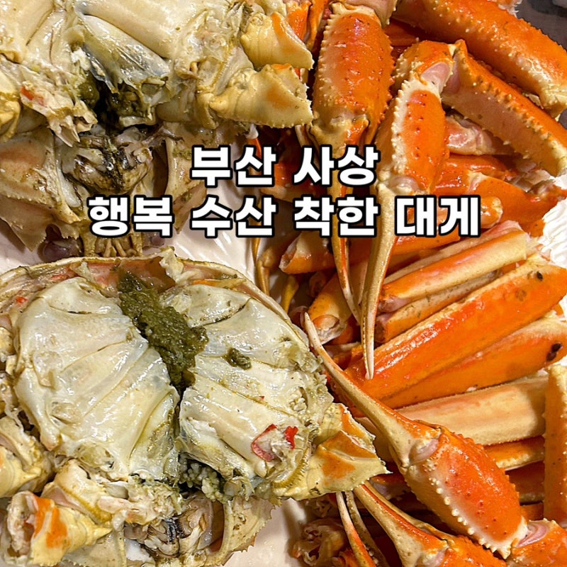부산 사상 행복 수산 착한 대게 맛집 시세가격 후기 네이버 블로그
