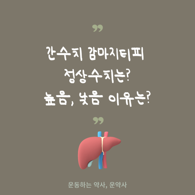 간 수치 감마지티피 정상수치 높음 낮음 이유는 네이버 블로그