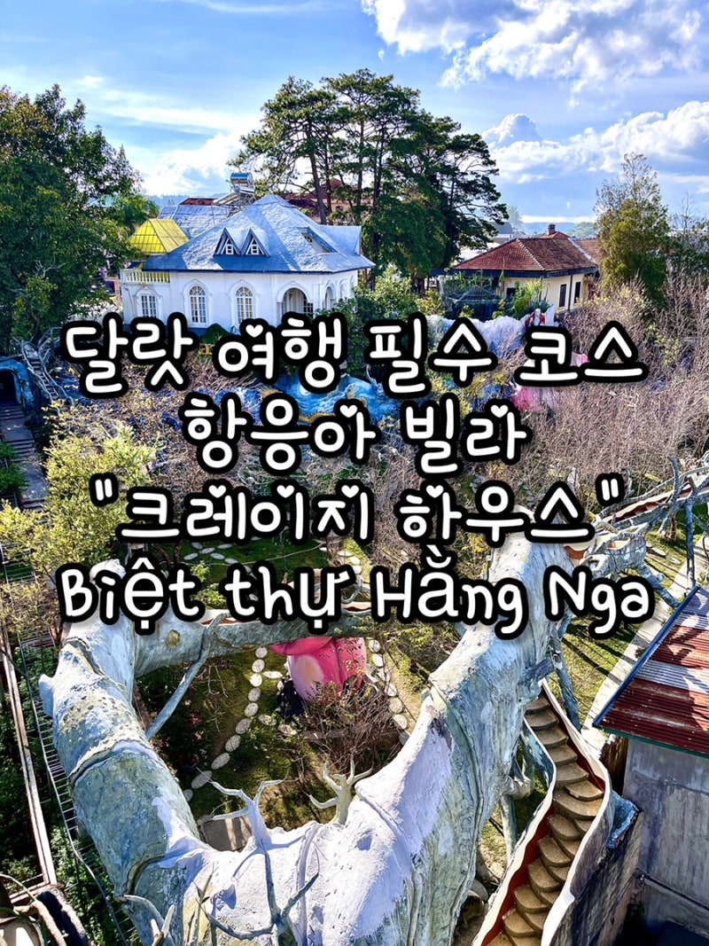 베트남 달랏 여행 달랏 가볼만한곳 항응아 빌라크레이지 하우스 달랏 여행 필수 코스 네이버 블로그