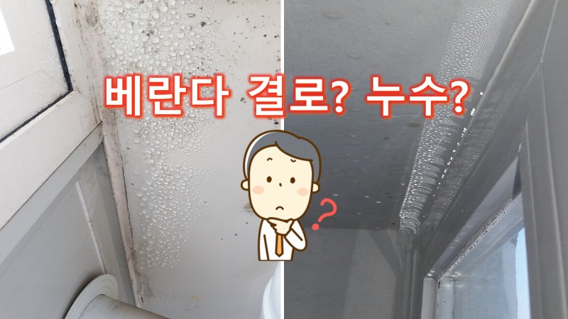아파트 베란다 벽 천장이 물기로 축축~결로 누수 현장 경험으로 쓰는 베란다 누수 결로 구분하는 방법과 베란다 결로 곰팡이