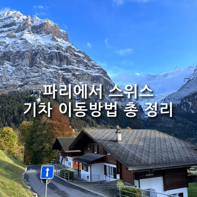 파리에서 스위스 기차이동 총 정리 파리 리옹역에서 스위스 인터라켄 가는법 Tgv Sbb 예약 및 환승방법 세이버데이패스