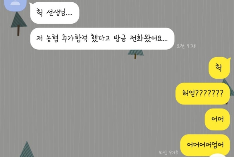라라랜드지역농협🥬 지역농협 일반직 합격후기 2번째🌞추가합격🥳지역농협 상세 면접 후기🎯ncs 공부법면접기출질문주장면접