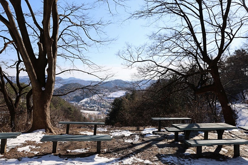 대전 만인산 자연휴양림 산림문화휴양관 산책로 태조태실 봉이호떡 등 네이버 블로그