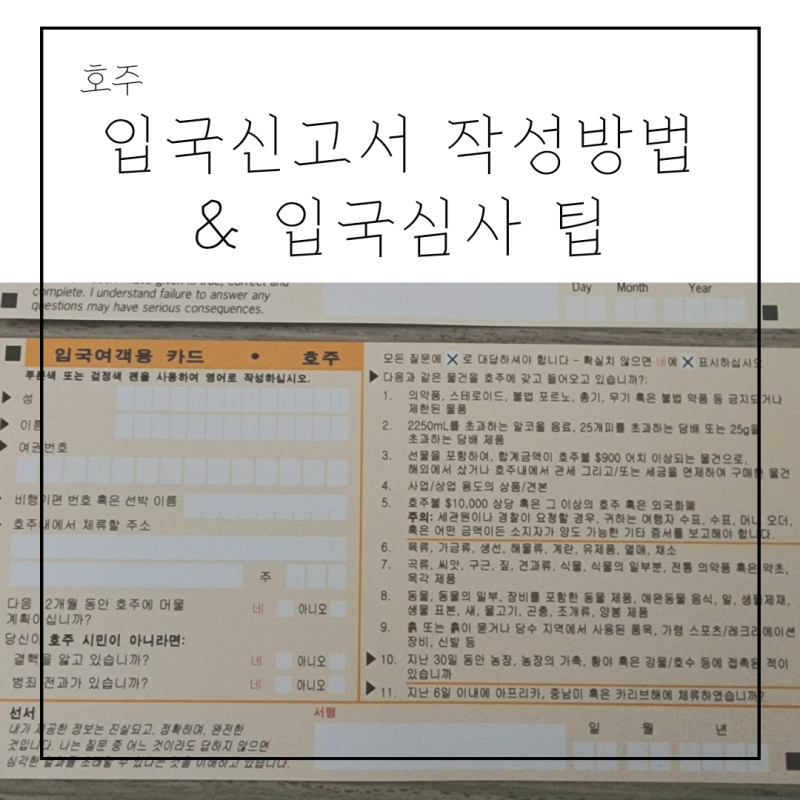 호주 입국신고서 작성 방법 세관신고서의약품상비약음식물 입국심사 팁 네이버 블로그