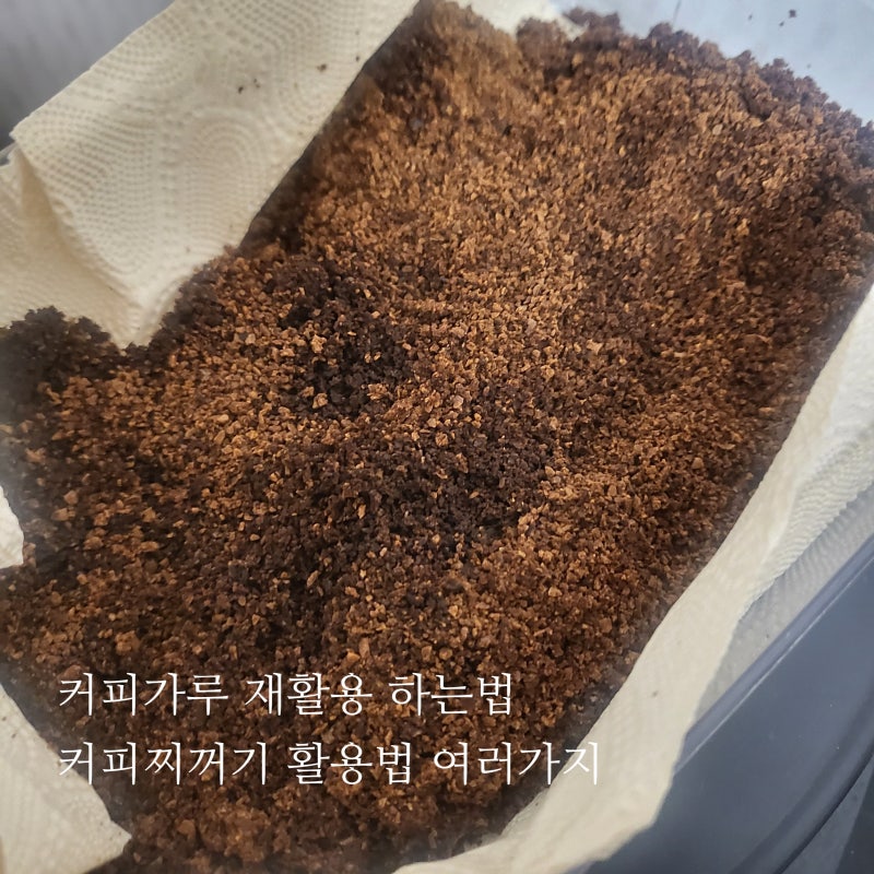 커피찌꺼기활용법 5가지 다양하게 커피가루 재활용 하는 방법 네이버 블로그