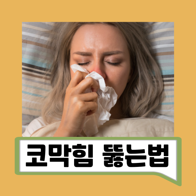 코막힘 비염 막힌코 뚫는법 7가지 코 막혔을때 간단한 자세 포함 네이버 블로그