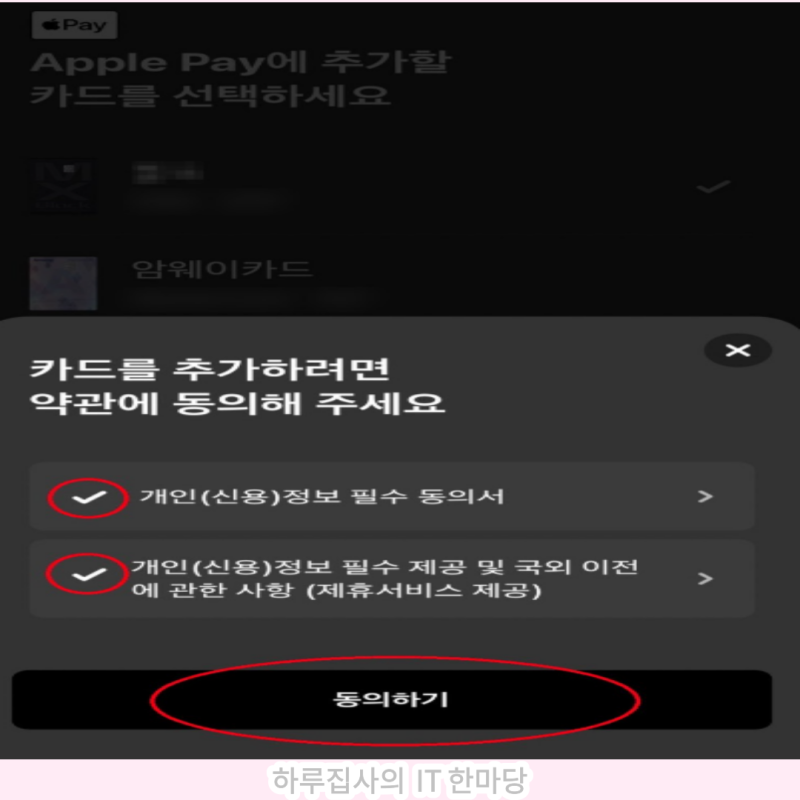 애플페이 사용법 신한카드 국민카드 추가 카드 등록 방법 애플워치 애플페이 교통카드 사용 네이버 블로그