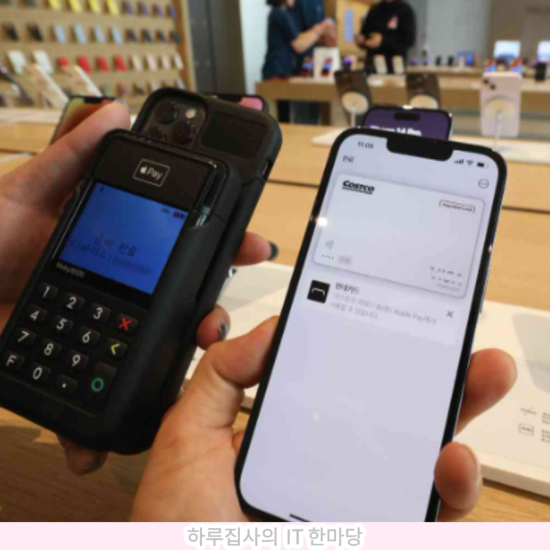 애플페이 사용법 신한카드 국민카드 추가 카드 등록 방법 애플워치 애플페이 교통카드 사용 네이버 블로그
