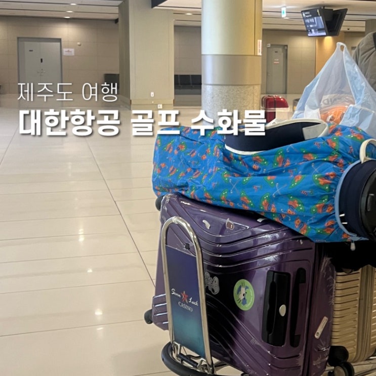 대한항공 골프백 수화물 추가요금 제주골프 정보