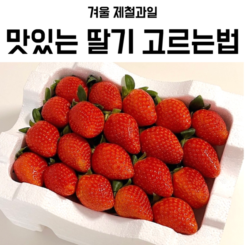 맛있는 딸기 고르는 방법과 겨울 제철과일 딸기효능 및 딸기 무르지않게 보관하는 방법 네이버 블로그