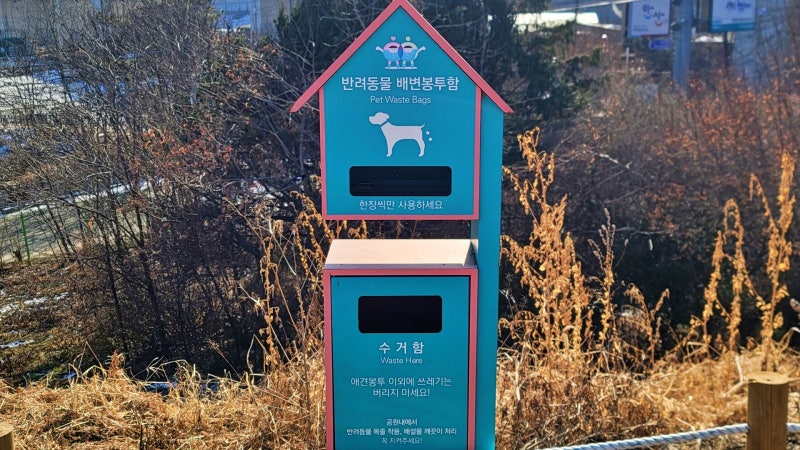 반월호수공원 둘레길 군포 가볼만한 곳 눈 덮인 호수 눈부신 반월호수 네이버 블로그