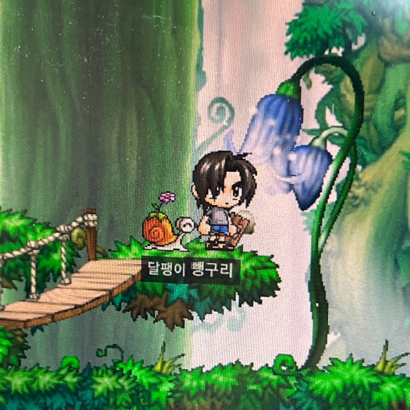 메이플랜드 펫 얻는 법 의문의 알 여는 법 엘리니아 요정 마르 위치 찾기 네이버 블로그