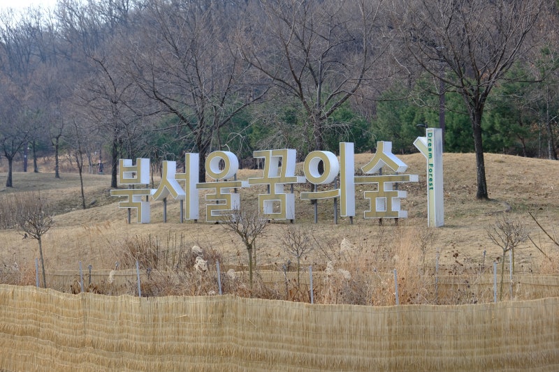 서울 북서울꿈의숲 주차 지도 강북 가볼만한곳 공원 추천 아이더로드 산책 코스 산책로 네이버 블로그