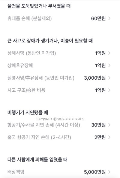 카카오페이 해외 여행자보험 추천 동반인 포함 할인 환급 비용 네이버 블로그
