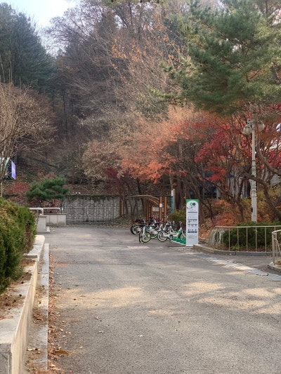 관악구민종합체육센터 수영장 수강신청 시설이용법 다 알려드림 네이버 블로그