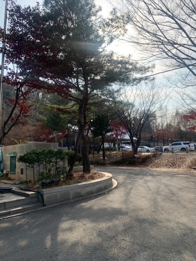 관악구민종합체육센터 수영장 수강신청 시설이용법 다 알려드림 네이버 블로그