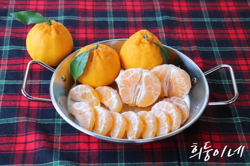 한라봉 제주도 음식 전국농가자랑 아기과일 식후과일 과일안주 플레이팅 네이버 블로그