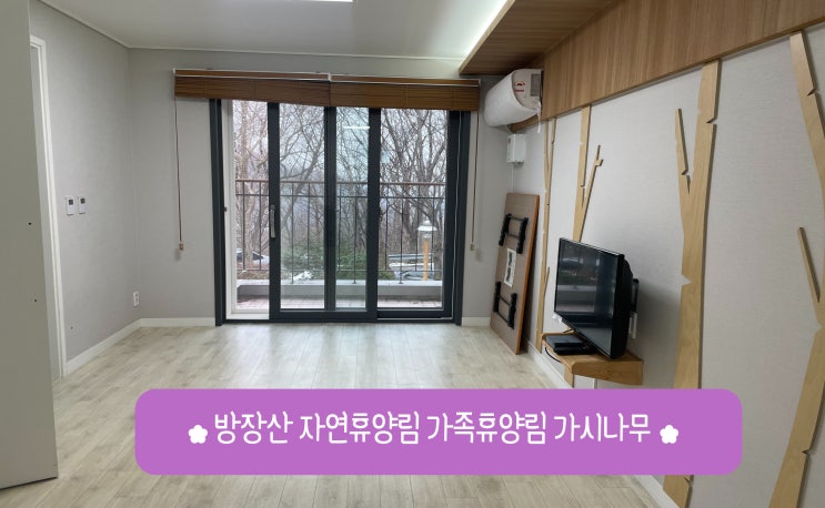 전남 장성 방장산 자연휴양림 가족휴양관 가시나무
