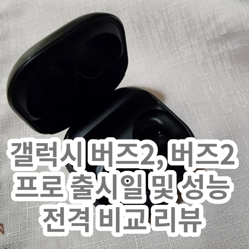 갤럭시 버즈2 갤럭시 버즈2 프로 Pro 출시일 및 사용법 삼성 이어폰 비교 후기 Feat 할인 찬스 네이버 블로그