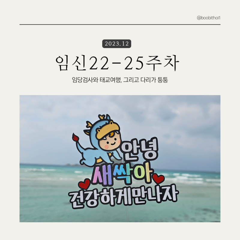 임신 22주~25주 기록과 증상다리부음압박스타킹임당검사태교여행임신중설사 네이버 블로그
