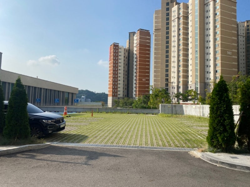 어린이집 원장 사전직무교육 대상 비용 기간 교육 후기 명지대학교 네이버 블로그