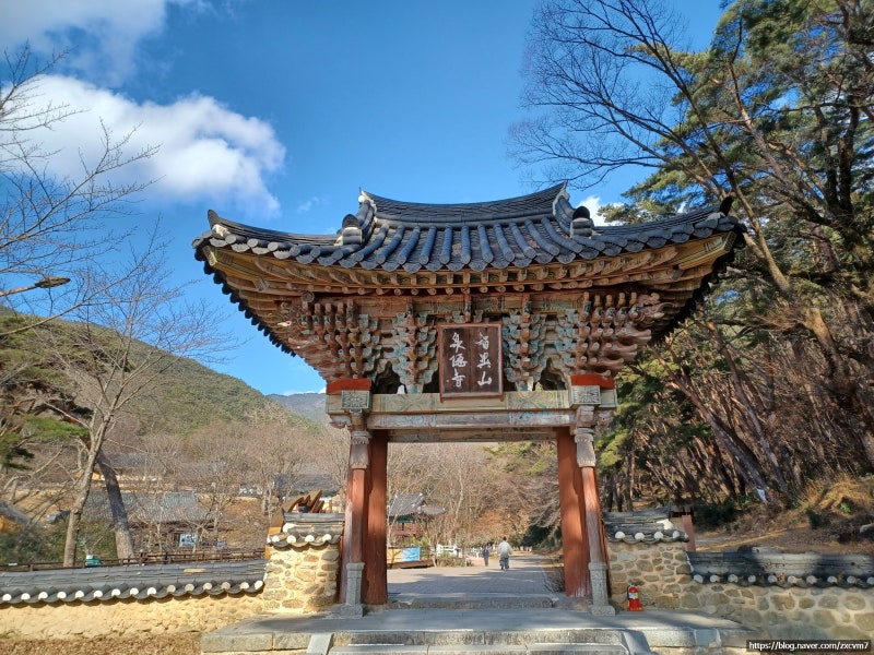 지리산 천은사 상생의길 겨울 트레킹,이상한 변호사 우영우드라머 : 네이버 블로그