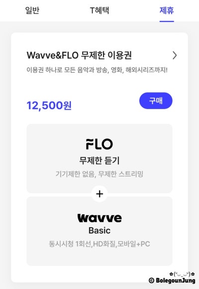 FLO]플로 요금제 알아보기+SKT 할인요금제 : 네이버 블로그