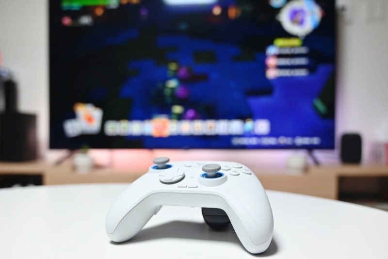 플라이디지 다이어울프2 가성비 Pc 닌텐도 스위치 게임패드 추천 이유 네이버 블로그