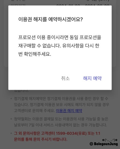 FLO]플로 요금제 알아보기+SKT 할인요금제 : 네이버 블로그