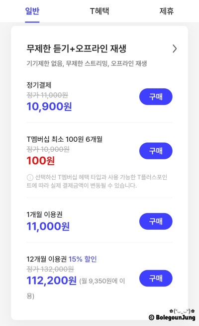 FLO]플로 요금제 알아보기+SKT 할인요금제 : 네이버 블로그