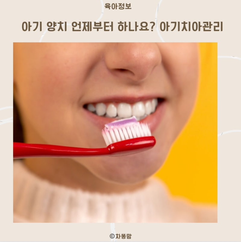 아기 양치 언제부터 해야 하나요 W 아기 불소도포 네이버 블로그