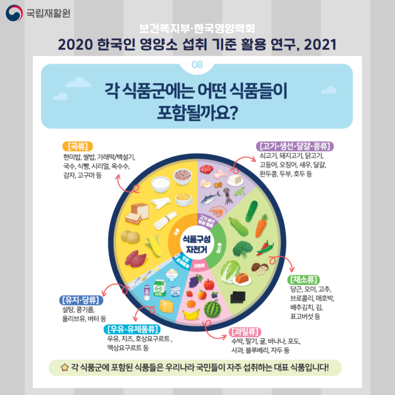 2024년 제1회 기획연재 보건복지부·한국영양학회에서 개발한 한국인 영양섭취기준과 식품구성자전거를 소개합니다 네이버 블로그