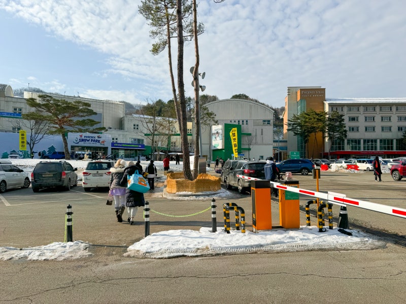 강원도 스키장 평창 휘닉스파크 렌탈샵 올데이패스 프리미엄 후기 네이버 블로그