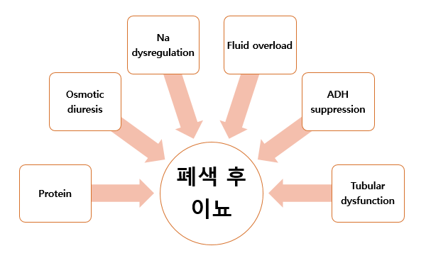 폐색후 이뇨 현상 (Postobstructive diuresis) : 네이버 블로그